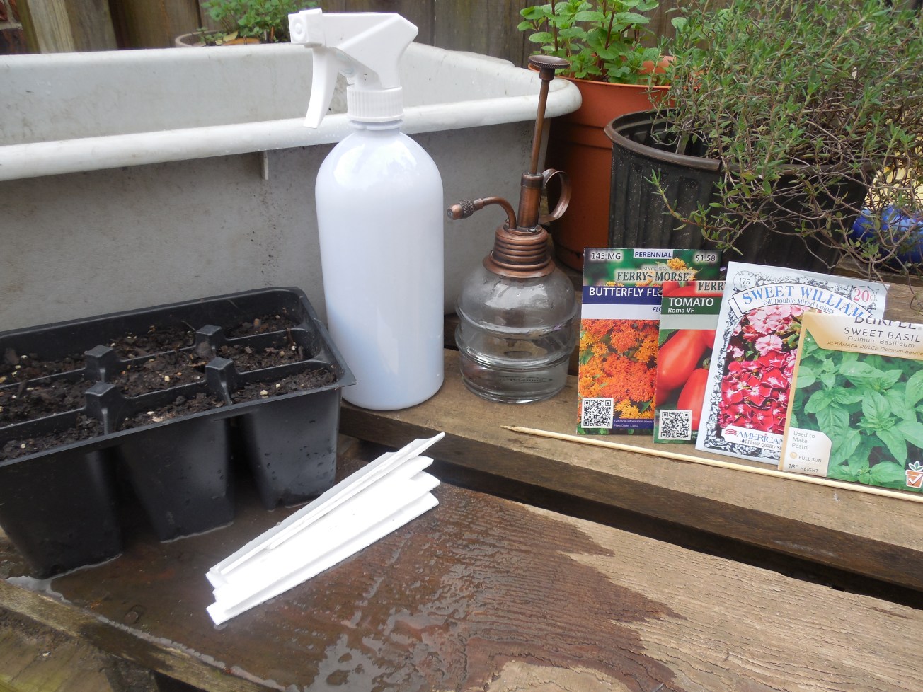 Basics of Starting Seeds | Coffee to Compost