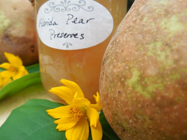 Sand Pear Recipe: Florida Pear Preserves with Pineapple | Coffee to Compost